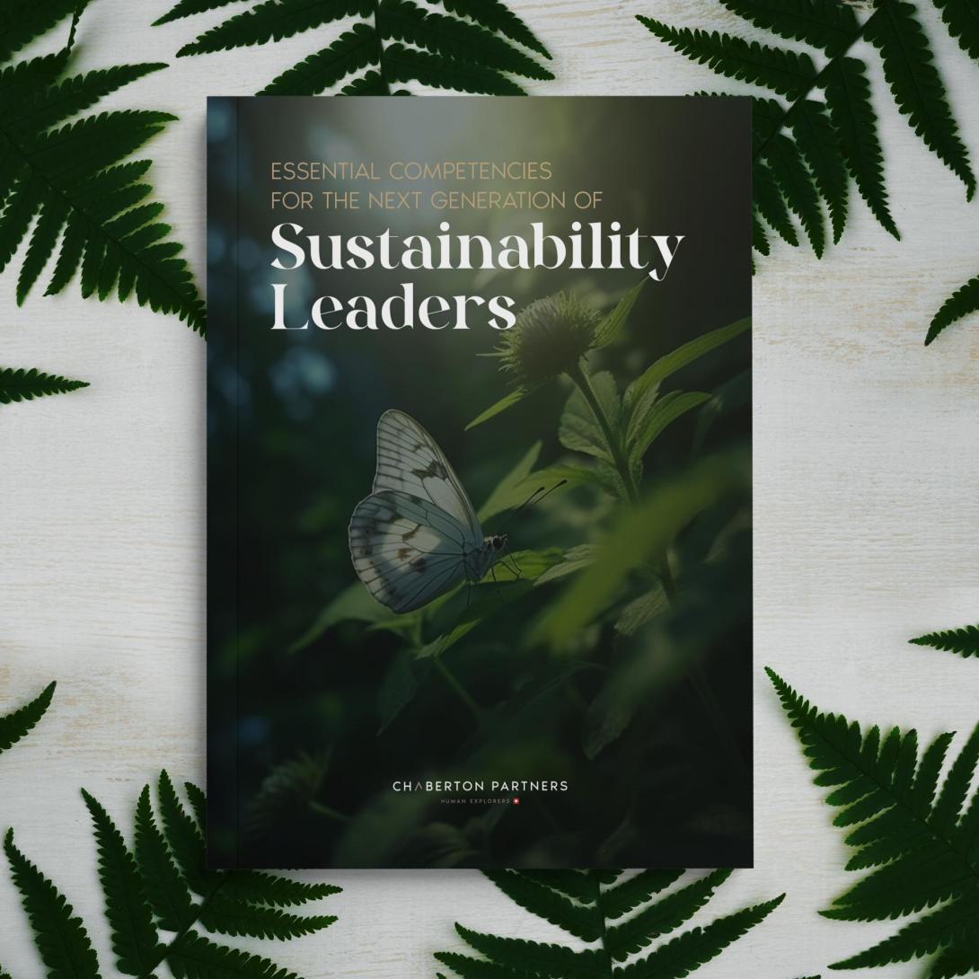 Essential competencies for the next generation of Sustainability Leaders | Chaberton Partners